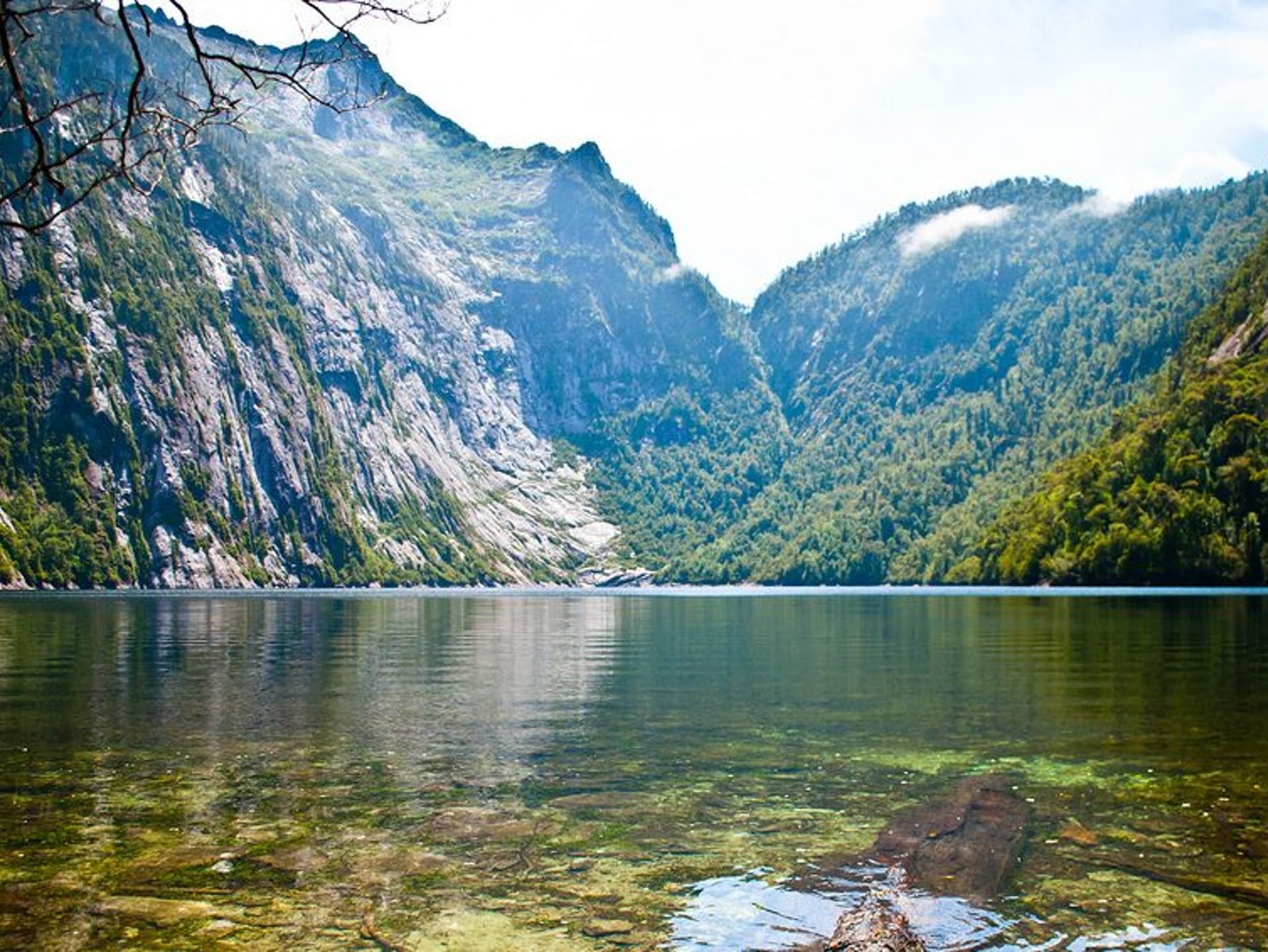 Trekking Alerce Andino National Park Alsur Expediciones Trekking Alerce Andino National Park Alsur Expediciones